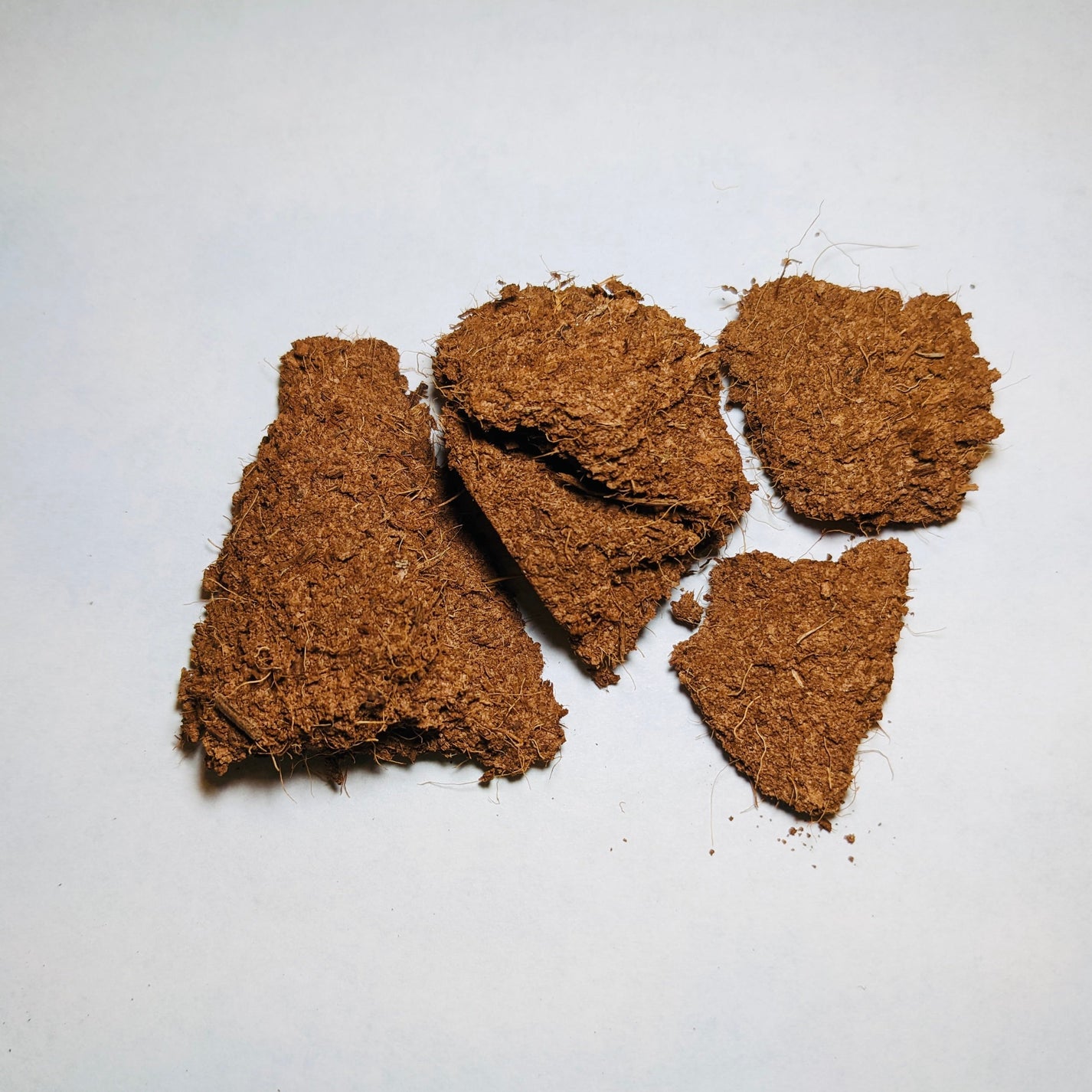 Bulk Coco Coir – OEM