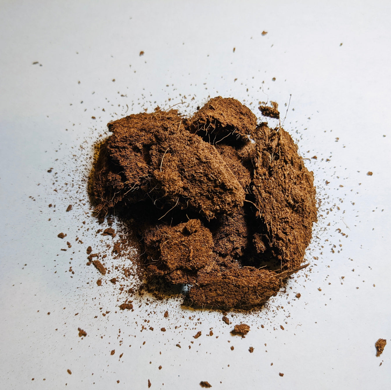 Bulk Coco Coir – OEM